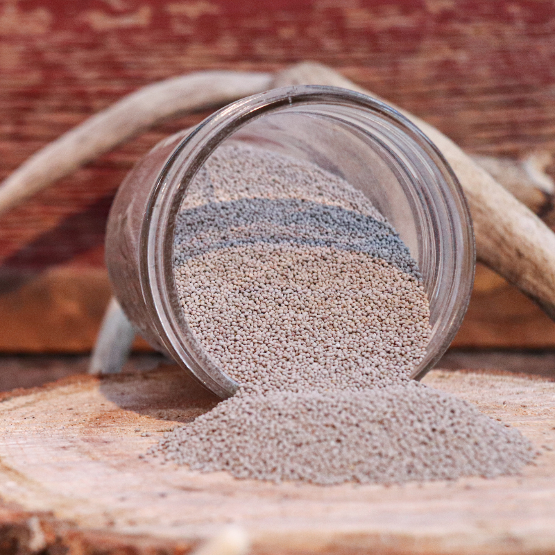 Aberlasting Clover - Deer Plot Seed | Jaster's Ag Supply