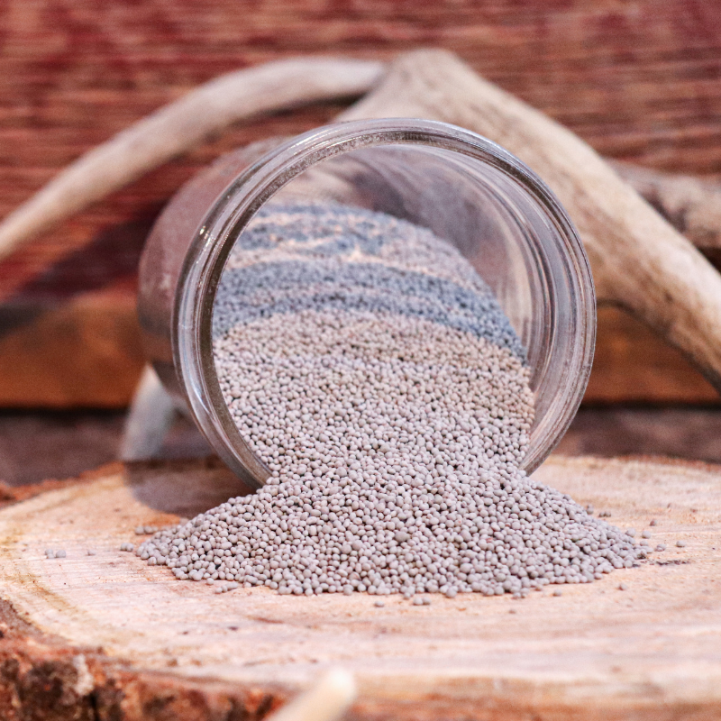 Balansa FiXation Clover Seed - by the pound | Jaster's Ag Supply