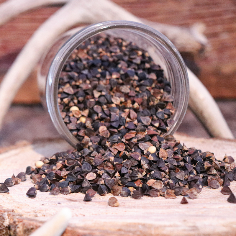 Buckwheat - Deer Plot Seed | Jaster's Ag Supply